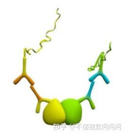 前沿速递 | 蛋白研究的未来之星 —— Duolink™ PLA®技术 - 知乎