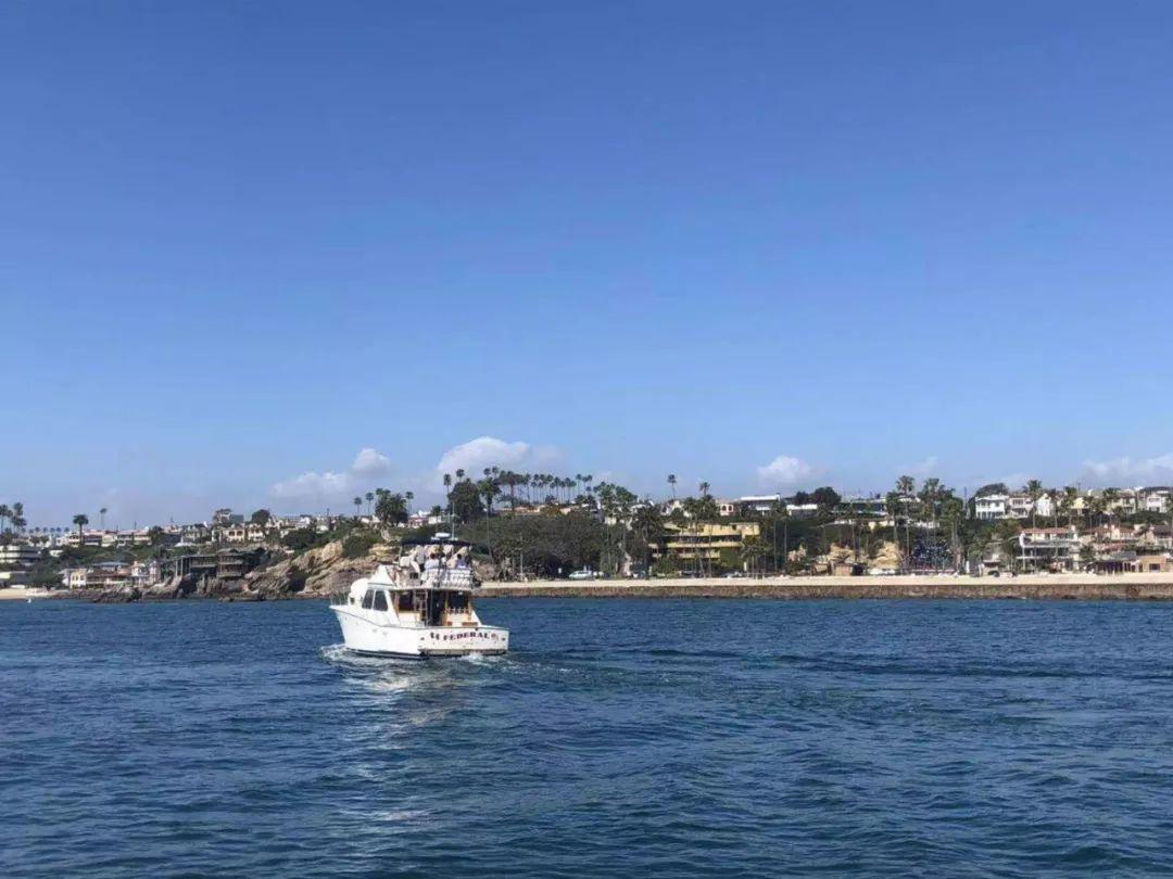 观鲸到极致 | 这些北美地点，务必不要错过 - 知乎