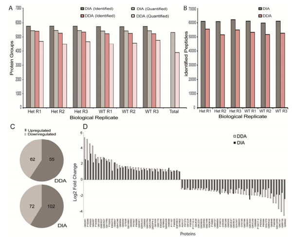 DIA+PRM技术：全蛋白组筛选及目标蛋白验证一体化 - 知乎