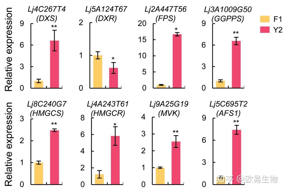 基于挥发性GC-MS代谢组学分析忍冬品种之间的花香调控机制 - 知乎