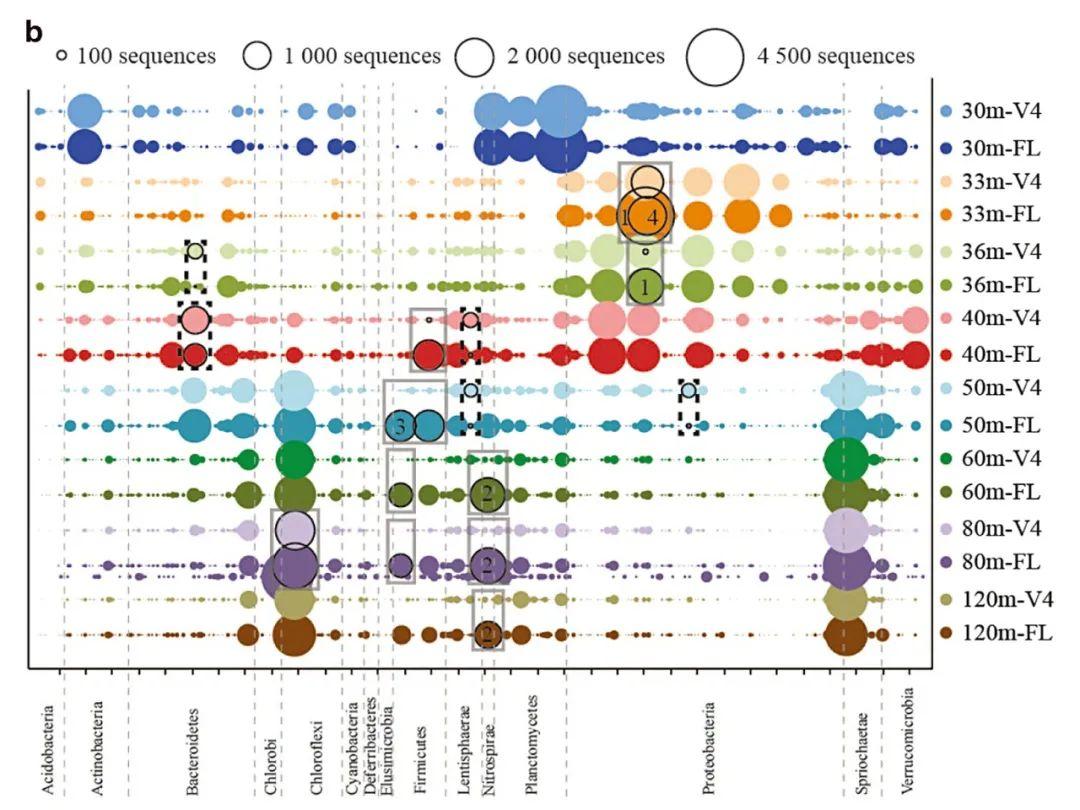 精要速览 | PacBio三代全长扩增子测序的多方向研究应用进展 - 知乎