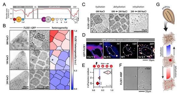 相变无奇，聚合分离——相分离 - 知乎