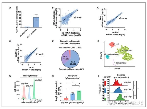 BacDrop单细胞微生物测序方法揭示与抗生素相关的细胞异质性 - 知乎