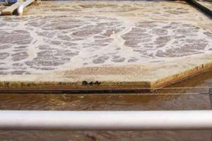 教你用BOD5与CODCr来判定污水的可生化性 - 知乎