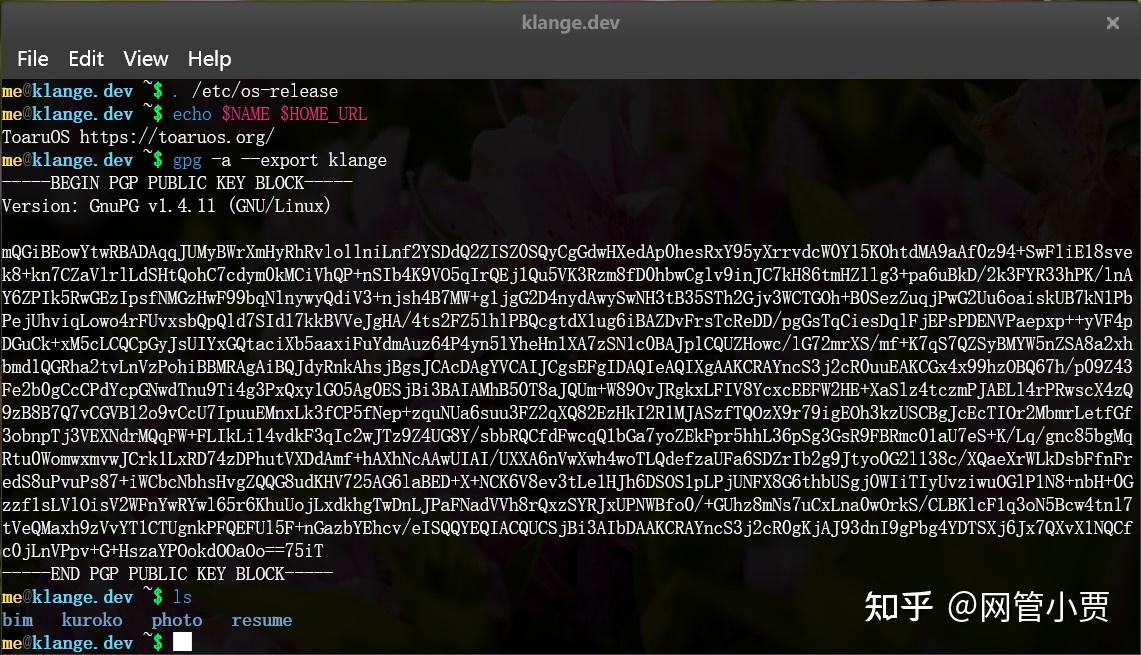 仅凭着一腔热血开发出来的 ToaruOS 系统，到底是个什么水平？ - 知乎