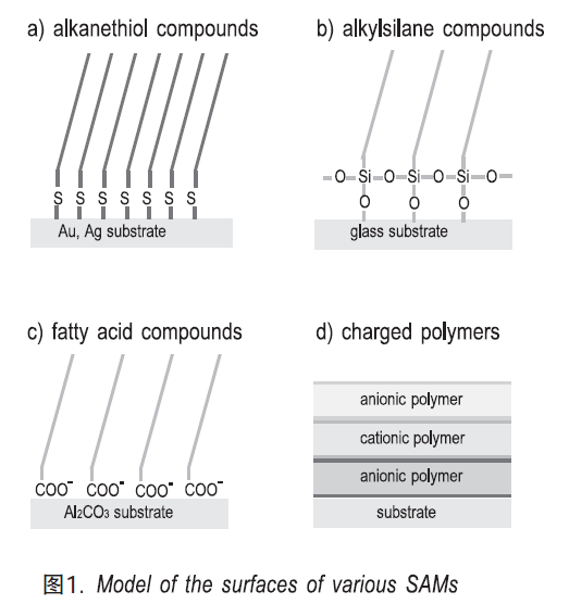 SAM试剂与生物材料 - 知乎