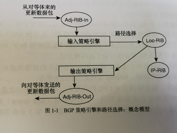 [BGP] 读一读BGP的RFC[1] - 知乎