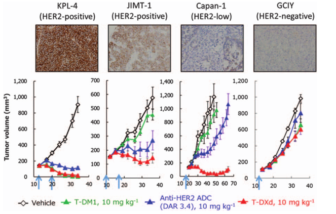 回顾“神药T-DXd（DS-8201）”的研发历程 - 知乎