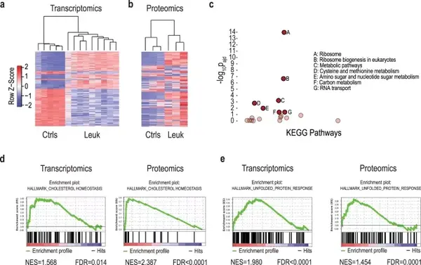 Nat Comm | IL7R突变足以引发白血病 - 知乎
