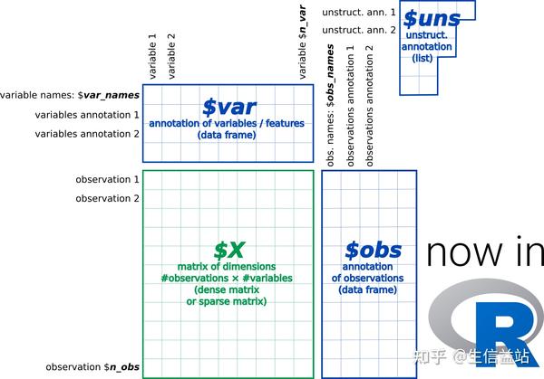 单细胞终极笔记之——Seurat、anndata/h5ad、LOOM、SingleCellExperiment 格式互相转换 - 知乎