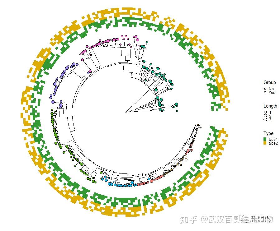 R语言|ggtreeExtra包绘制进化树 - 知乎