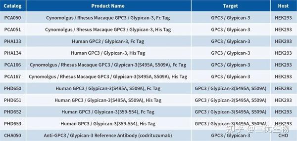 三优药讯｜GPC3 CAR-T细胞联合索拉非尼，肿瘤病灶完全消失 - 知乎