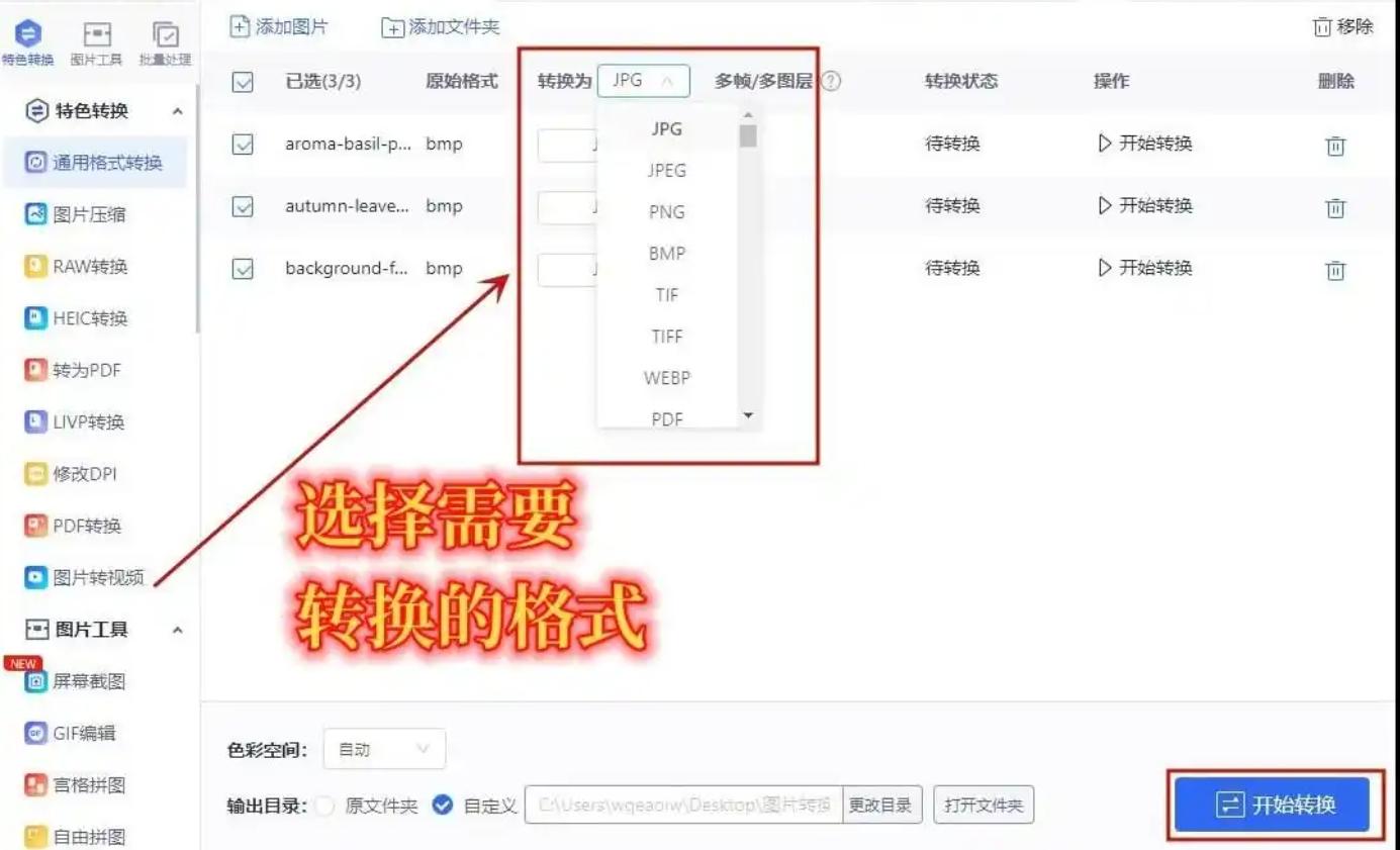 bmp怎么转成jpg？教你4个图片格式转换方法 - 知乎