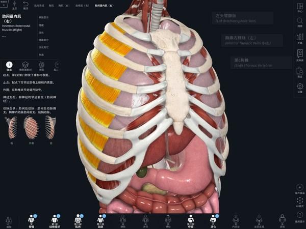爱思唯尔旗下3D4Medical发布中文版Complete Anatomy - 知乎