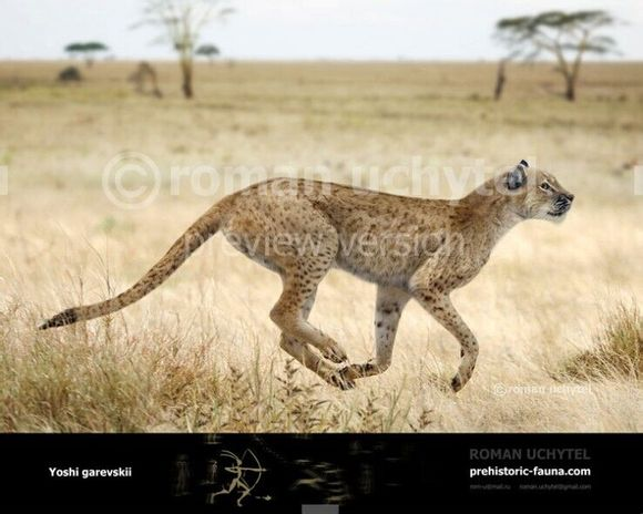 世界上存在过哪些好看的古生物？ - 知乎