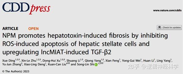 Cell Death Dis︱厦门大学石松林团队首次揭示NPM蛋白促进肝纤维化的作用和分子机制 - 知乎
