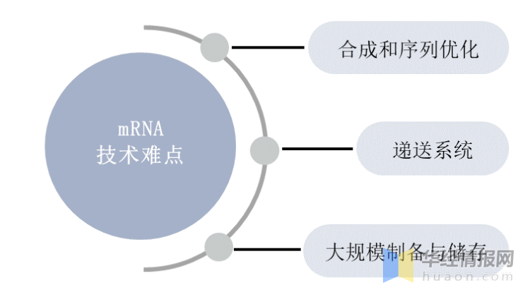 干货！一文看懂mRNA药物行业发展趋势：mRNA疗法应用场景广阔 - 知乎