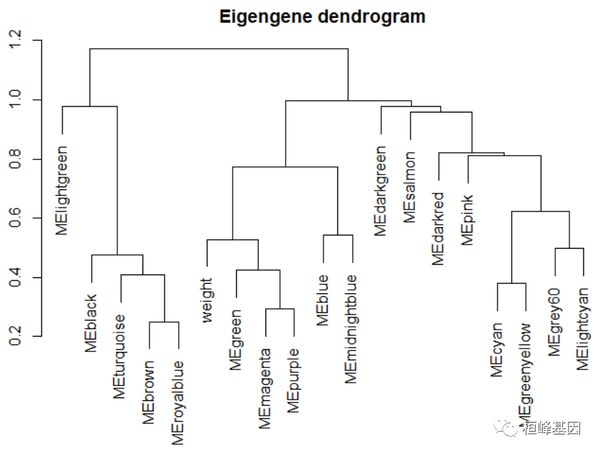 RNA 13. SCI 文章中加权基因共表达网络分析之 WGCNA - 知乎