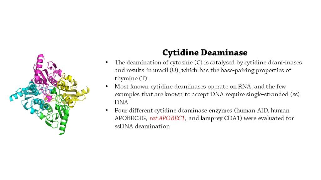 基因组DNA单碱基编辑技术与工具开发(附PPT下载链接) - 知乎