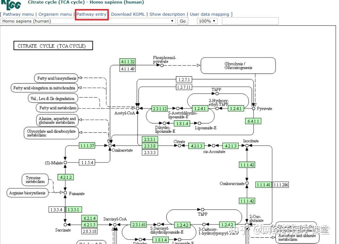 KEGG Pathway数据库在网络药理学研究中的应用 - 知乎