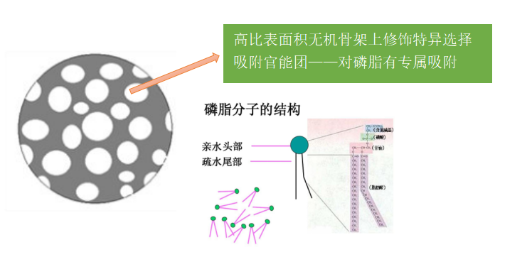 仅需一招！Anavo帮您高效去除样品中的磷脂…… - 知乎