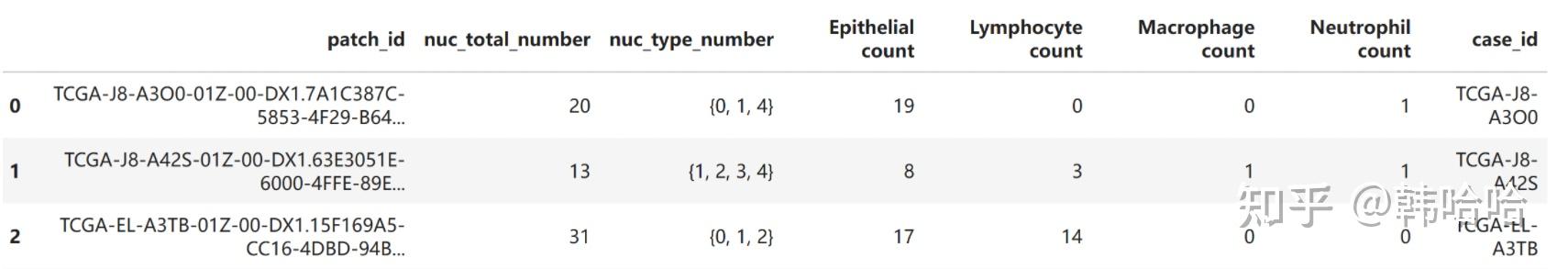 HoVer-Net_安装与应用 - 知乎