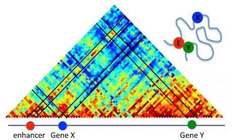 [工具][Hi-C] HiC-Pro Hi-C数据处理工具 - 知乎