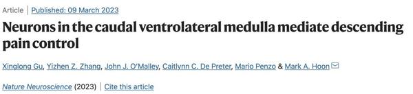 Nature Neurosci：疼痛调控新神经环路 - 知乎