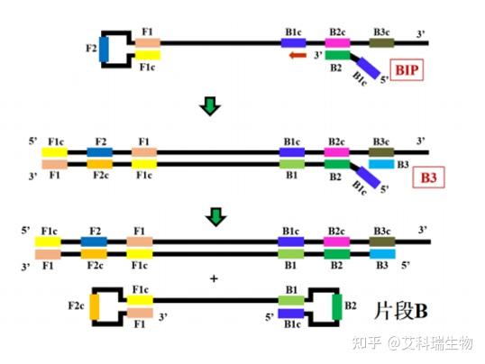 来了来了，全方面get—— LAMP技术 - 知乎