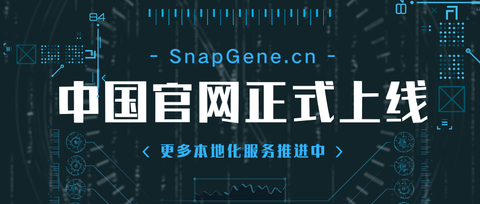 snapgene如何插入目的基因? - 知乎