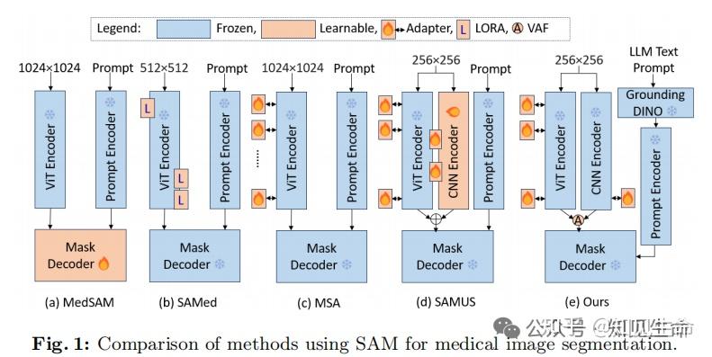 MICCAI&ECCV | 医学中的SAM—SAMUS和CC-SAM如何革新超声分割技术？ - 知乎