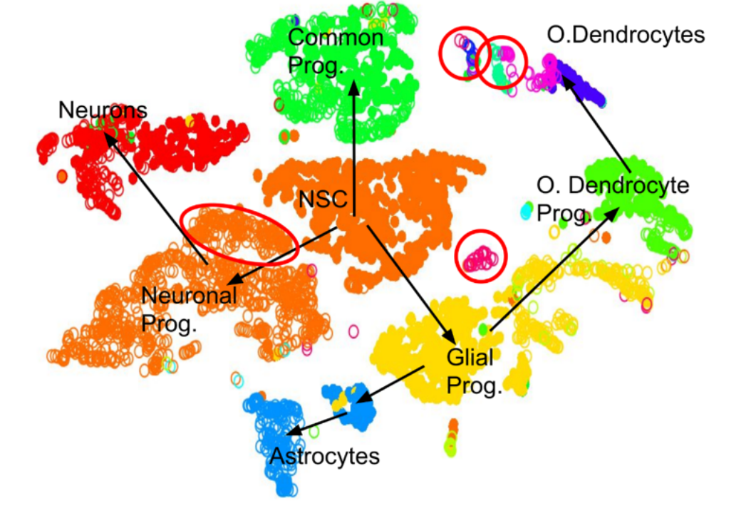 一文读懂scRNA-seq数据分析（经典教程，建议收藏） - 知乎
