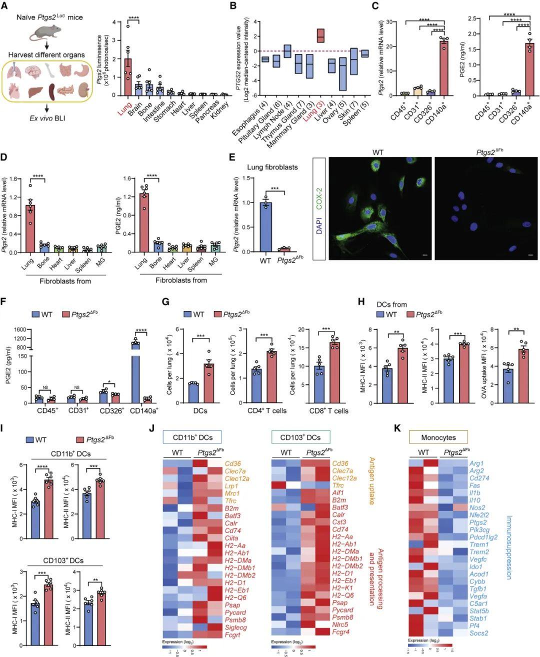 Immunity | 肺成纤维细胞通过重塑局部免疫微环境促进转移前生态位的形成 - 知乎