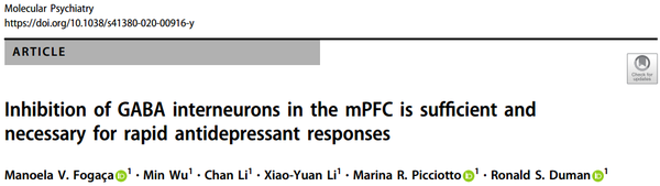 【文献解读】摆脱抑郁！抑制mPFC的GABA能中间神经元让你和抑郁症说再见 - 知乎