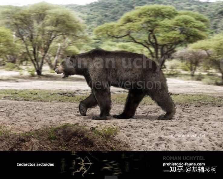 新生代巨兽猛兽与其他掠食者精简名录：古兽争锋榜（新近纪篇） - 知乎