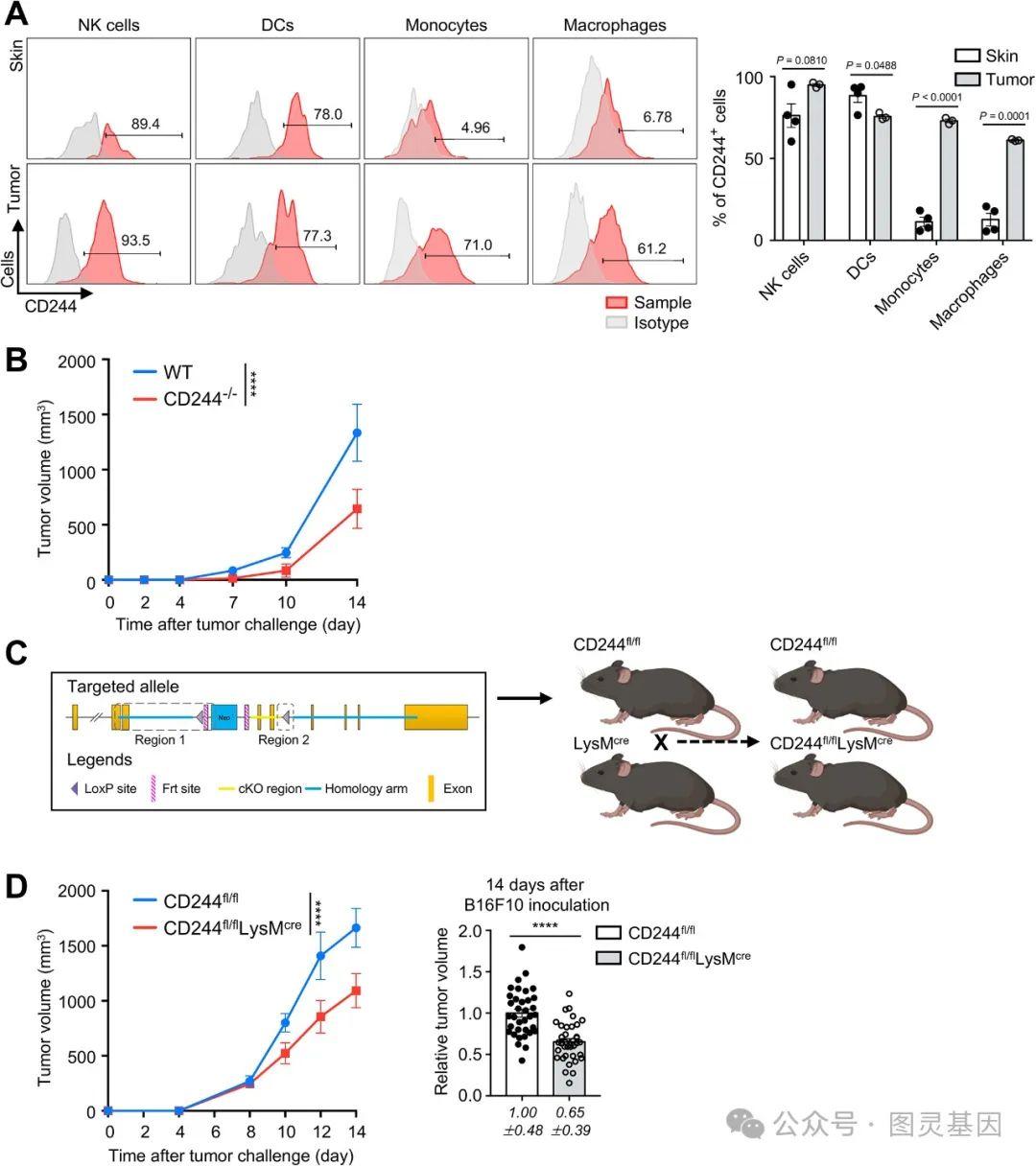 Mol Cancer | 单核细胞 CD244 缺失促进分化为抗肿瘤巨噬细胞，增强 PD-L1 阻断 - 知乎
