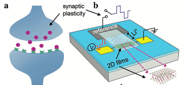 聊一聊OECT在人工智能时代的应用 - 知乎