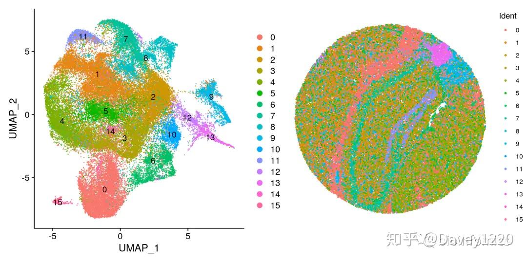 Seurat包学习笔记（三）：Analysis of spatial datasets - 知乎