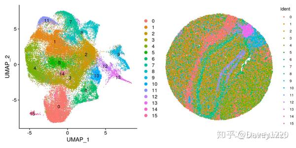 Seurat包学习笔记（三）：Analysis of spatial datasets - 知乎