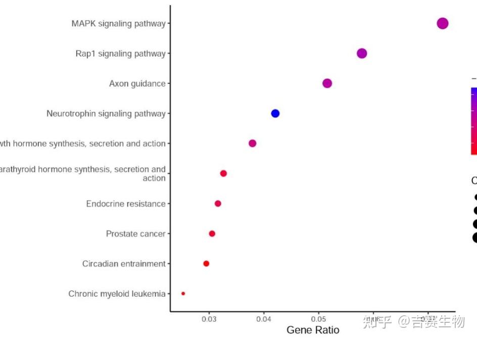 circRNA全长纳米孔测序 | 全新策略，未来可期！ - 知乎