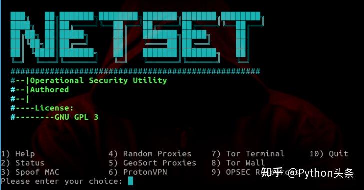 NetSet – 自动化网络流量安全增强工具 - 知乎