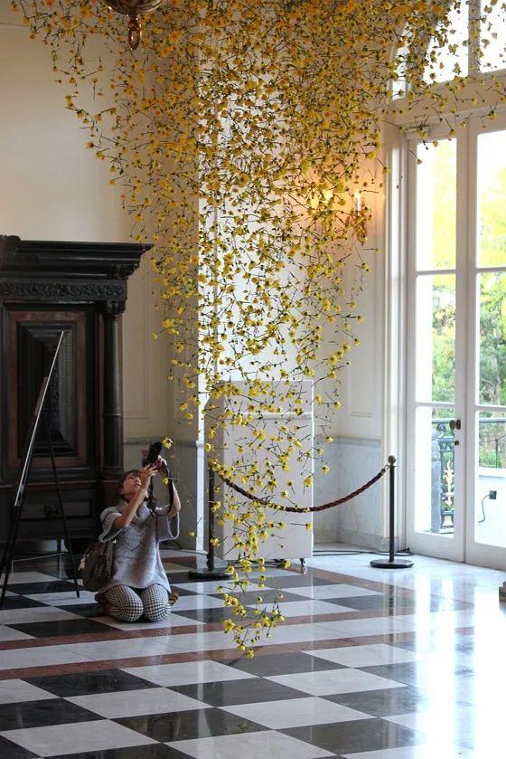 花艺装置艺术家Rebecca Louise Law | 爱马仕的私密晚宴秀翻全场 - 知乎