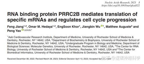 NAR︱罗切斯特大学心血管研究所和RNA中心姚鹏团队解析新型的mRNA翻译起始调控通路 - 知乎