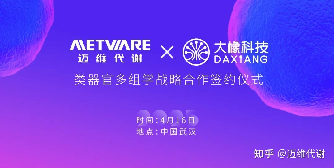 迈维代谢＆大橡科技携手开启“类器官多组学”战略合作新篇章 知乎eoi 2740