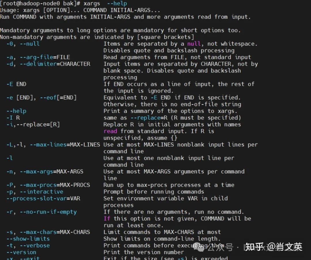 Linux运维的高效利器xargs命令 - 知乎