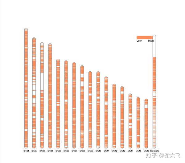 变异信息定位染色体 - 知乎