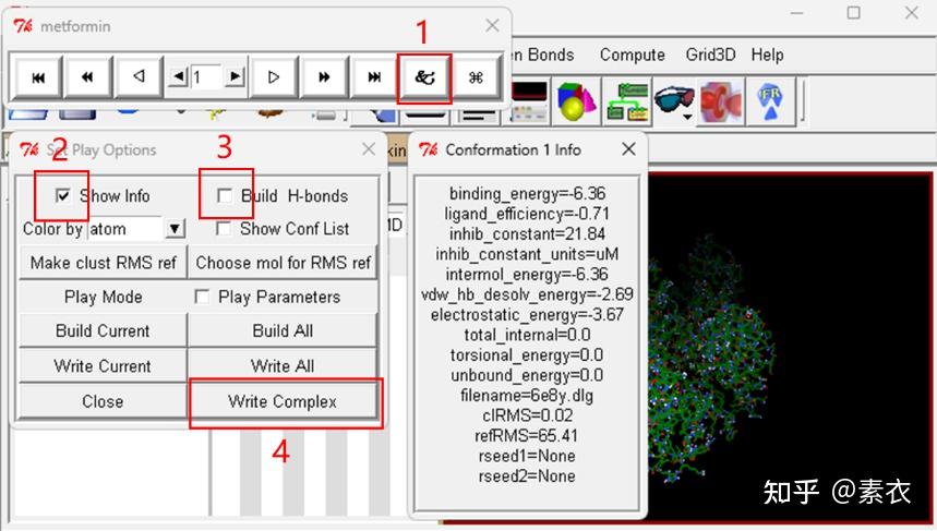 AutoDock蛋白-分子对接(详细操作步骤教学) - 知乎