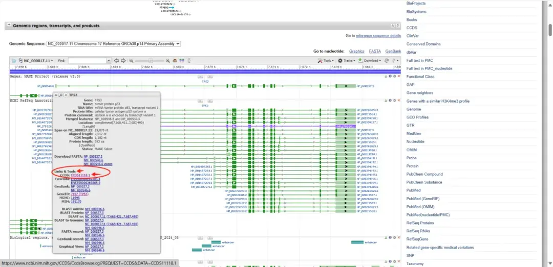 NCBI保姆级使用教程（包含如何查找CDS、启动子、5'UTR和3'UTR、lncRNA序列） - 知乎