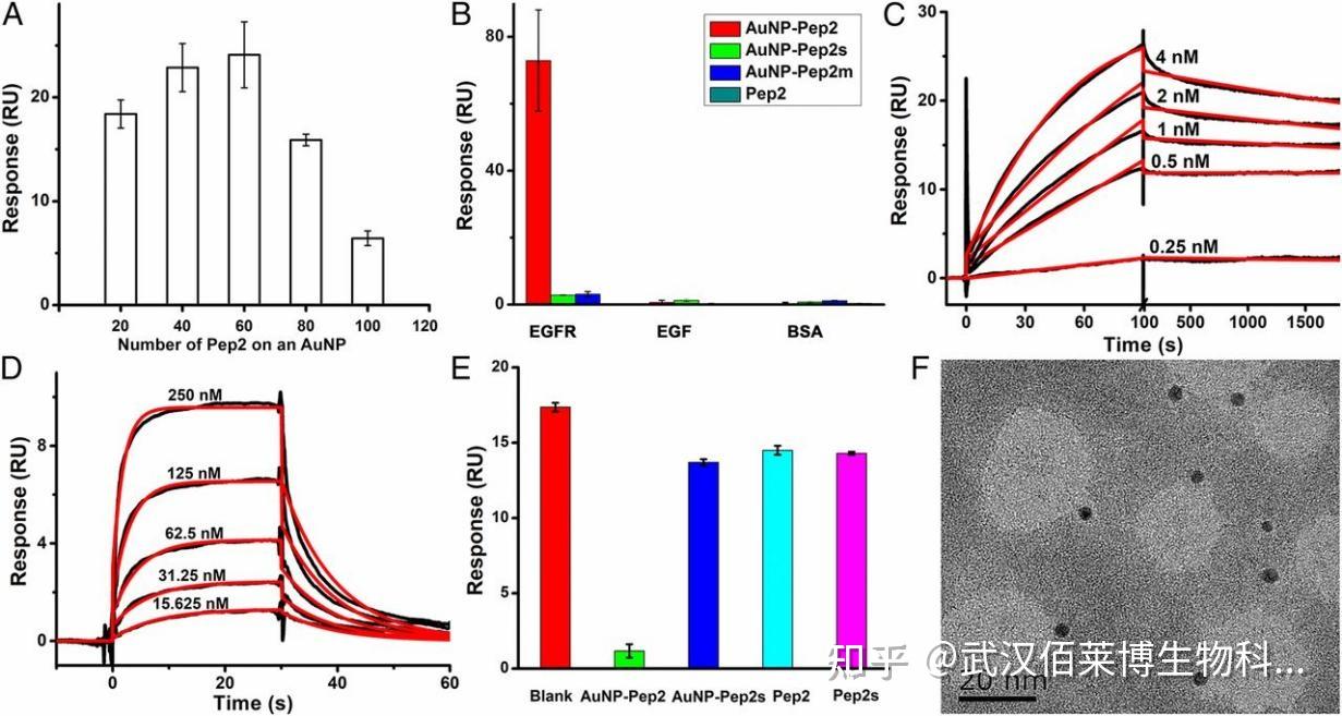 SPR应用案例：检测纳米颗粒与蛋白相互作用 - 知乎