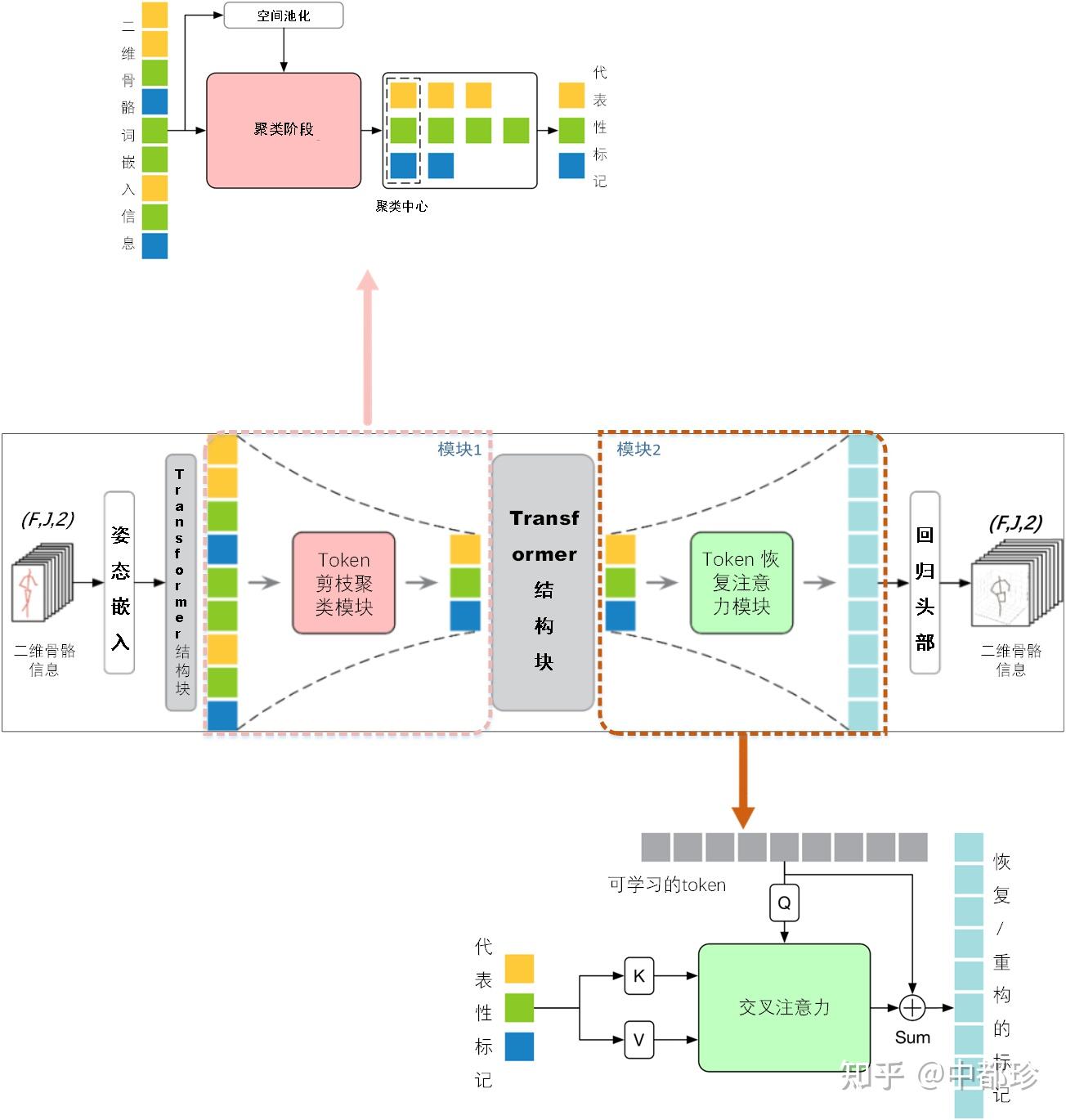 文献阅读（CVPR2024）：Hourglass Tokenizer for Efficient Transformer-Based 3D ...